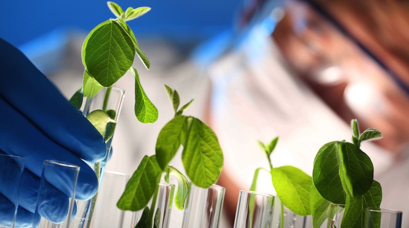 Strengthening European bio-based industries in a competitive global ...