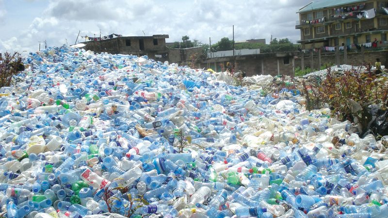 Ethics, Economics and the Environment: The case for phasing out plastic ...