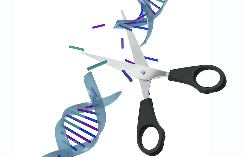 Boosting CRISPR-Cas as a solution to climate change and biodiversity ...