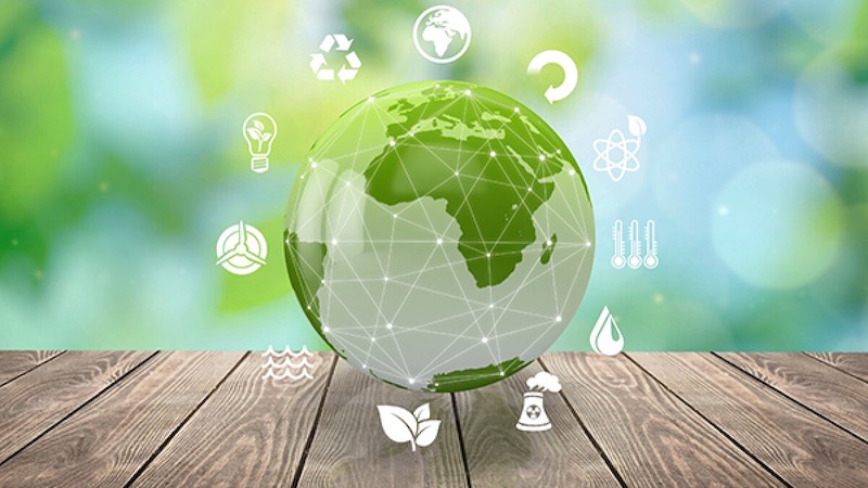 The CS3D: a milestone for supply chain responsibility - The European Files